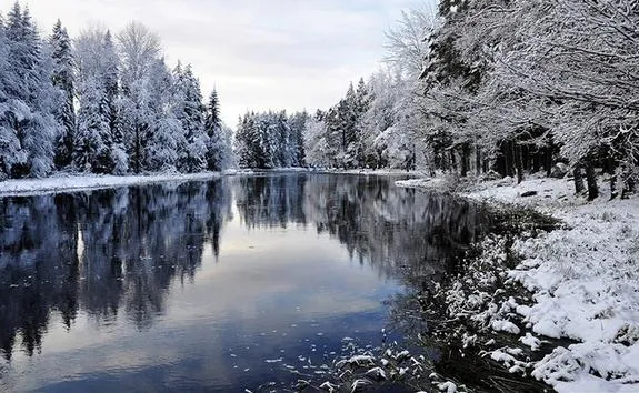Winter Natuur Wallpapers Voor Desktop