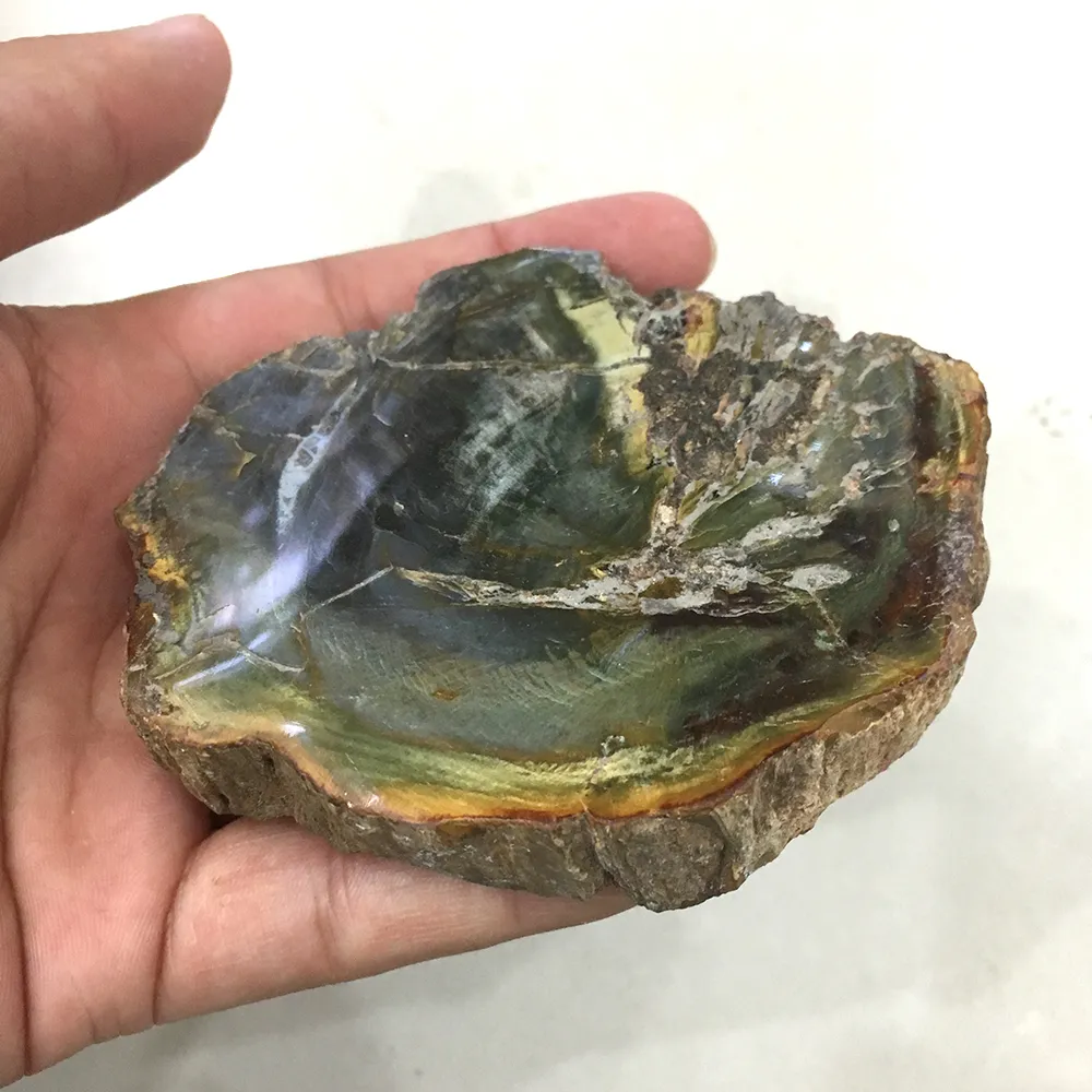 Antique Mineral Cup Mat With Natural Xylopal Fossil Slice Plate In ...