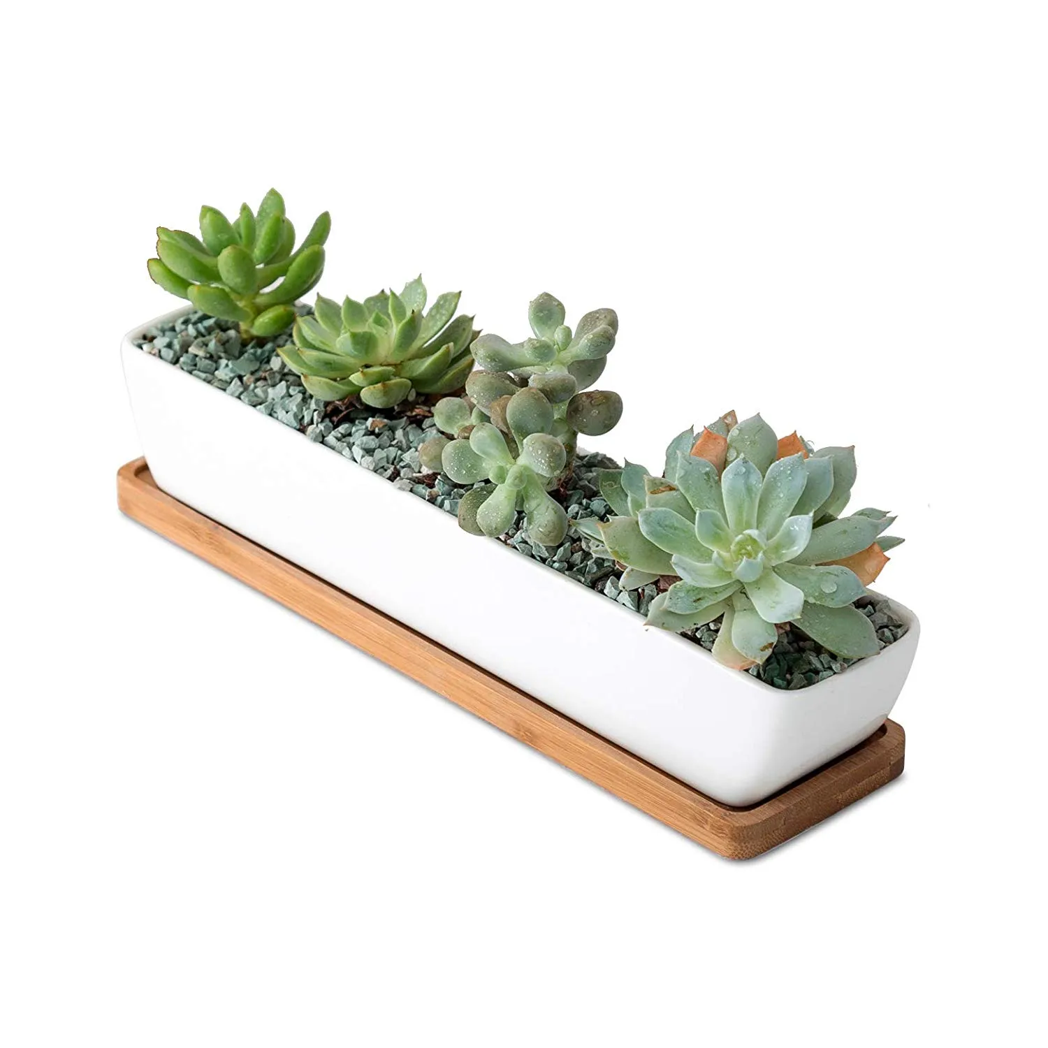 Modern Rectangular Ceramic Planter with Saucer - White Succulent Pot ...