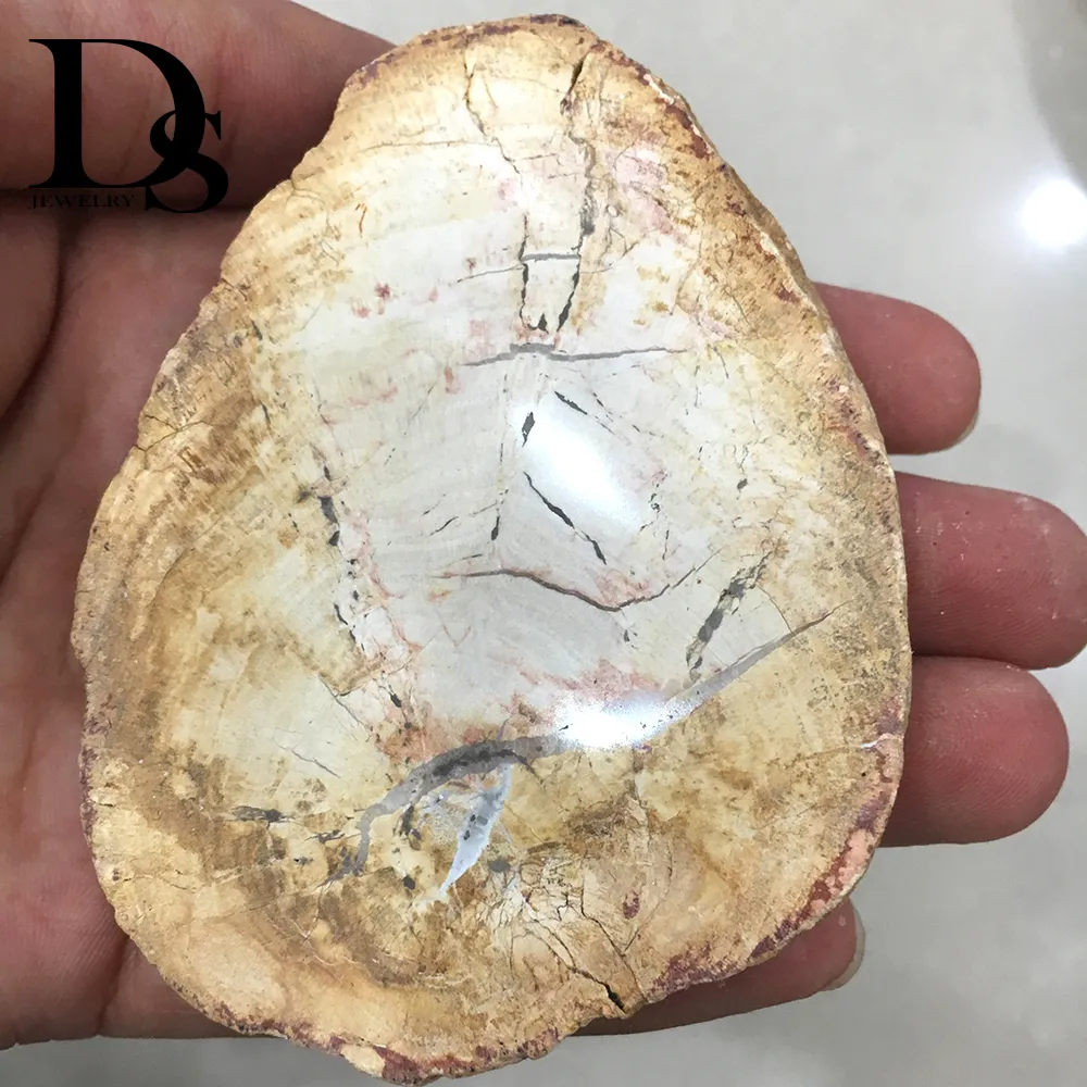 Antique Mineral Cup Mat With Natural Xylopal Fossil Slice Plate In ...