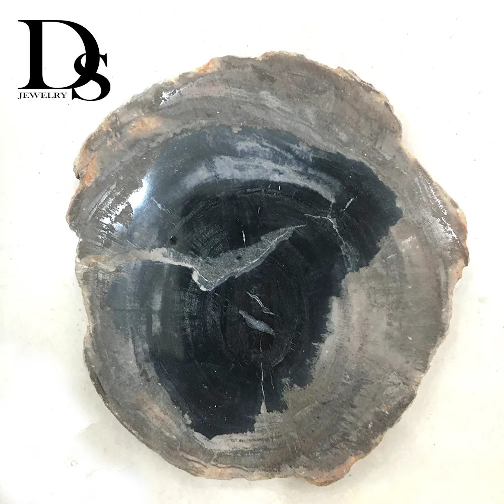 Antique Mineral Cup Mat With Natural Xylopal Fossil Slice Plate In ...