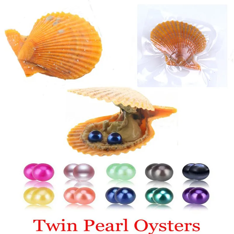 Akoya Oyster Pearl Jewelry Kit: DIY 6 7mm Twin Pearl Oyster Surprise ...