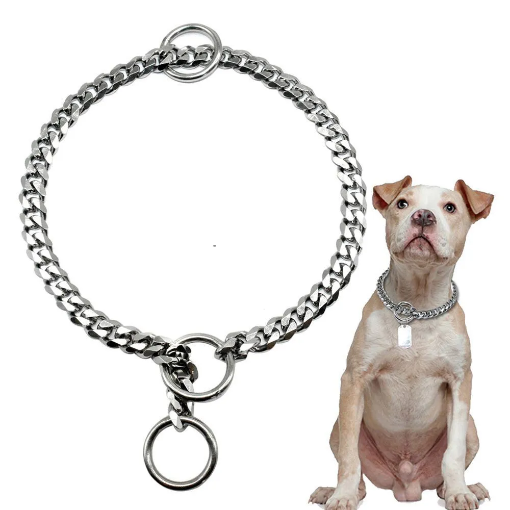 Oberman Pinscher Pet Dog Chain Stainless Steel, High Polished, Seamless ...