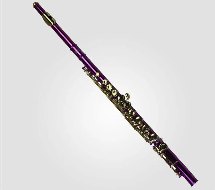 OVES FL 510R White Copper Tube Flute C Tune 16 Key Closed Purple Gold ...