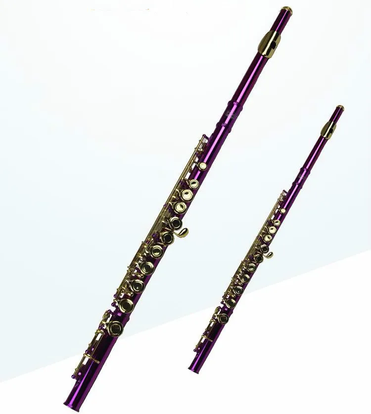 OVES FL 510R White Copper Tube Flute C Tune 16 Key Closed Purple Gold ...