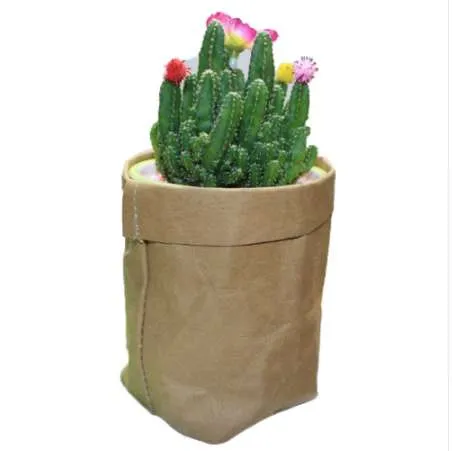 Kraft Paper Nursery Pot For Plants, Succulents, And Flowers Desktop ...