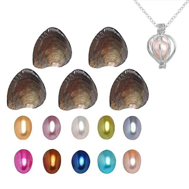 DIY Pearl Oyster Kit - Real Freshwater Pearls Inside! Available, Vacuum ...
