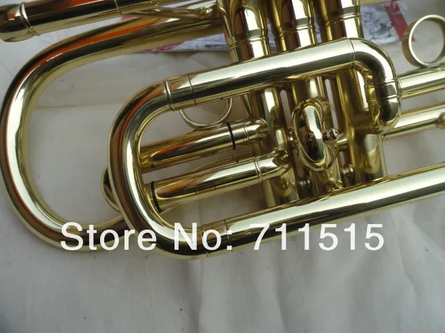 Bb Cornet Trumpet - Student Brass Instrument, Gold Lacquer Finish ...