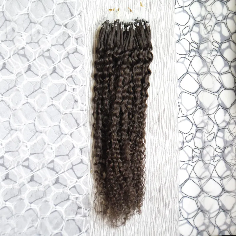 Kinky Curly Human Hair Extensions: Micro Loop Ring, 100g Dark Brown ...