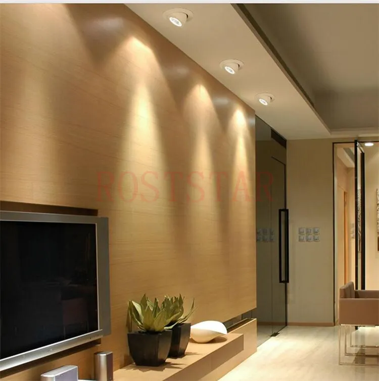 10W/20W/30W/40W LED Trunk Downlight COB Ceiling AC85 265V Adjustable ...