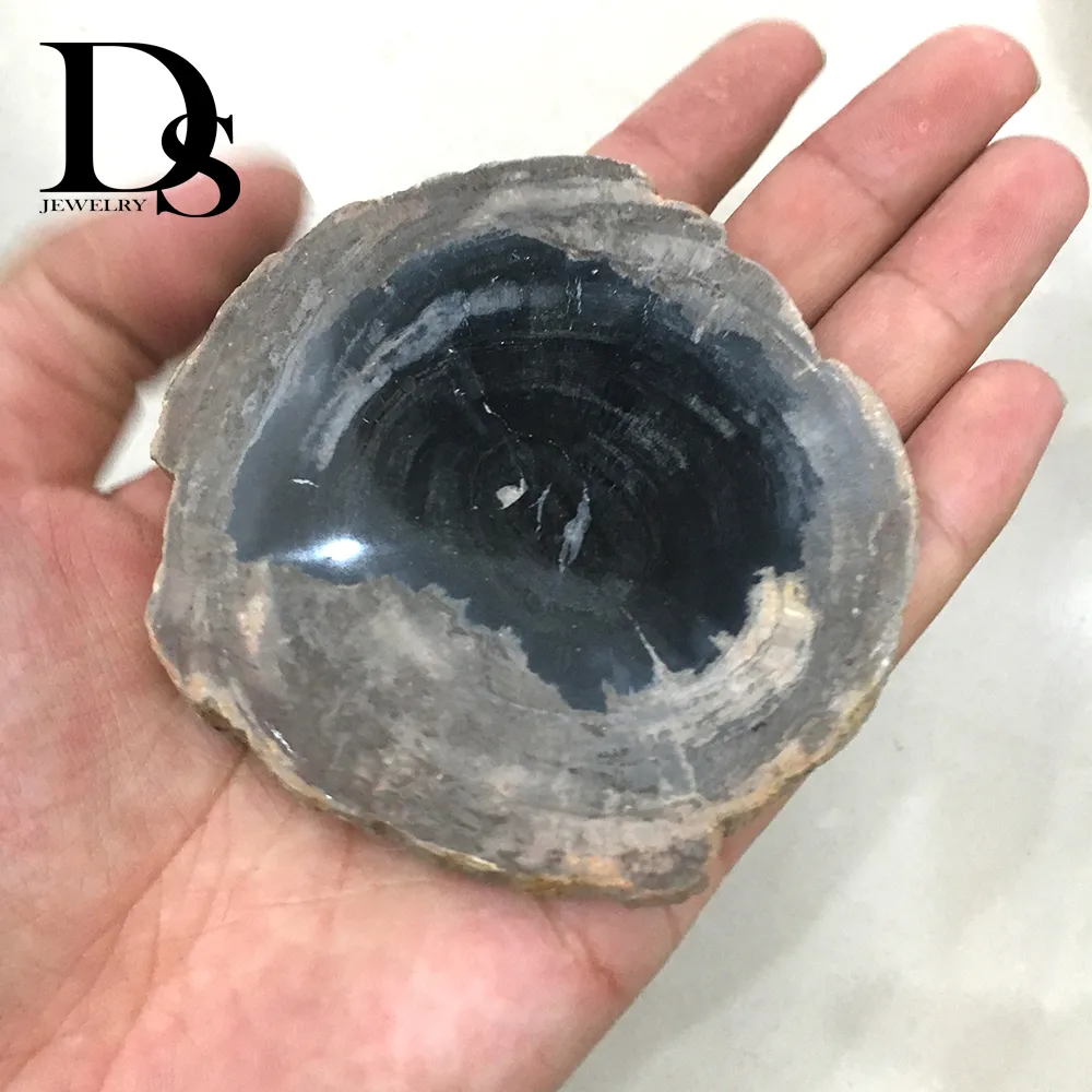 Natural Xylopal Fossil Slice Plate Crystal Tree Wooden Jade Woodstone ...