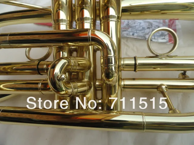 Bb Cornet Trumpet - Student Brass Instrument, Gold Lacquer Finish ...