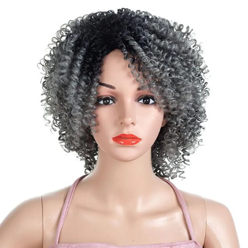 Curly Lace Front Wig: 24 Inch Heat Resistant Synthetic Hair for Women ...