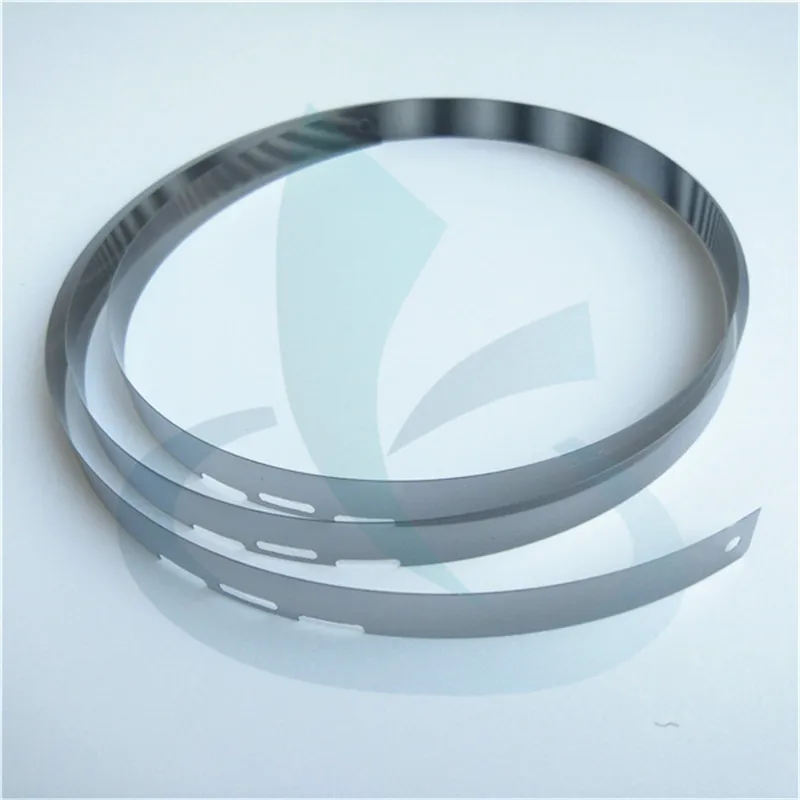 Precision Encoder Strip for Epson 7800 7880 7880C - DX5 Printhead ...