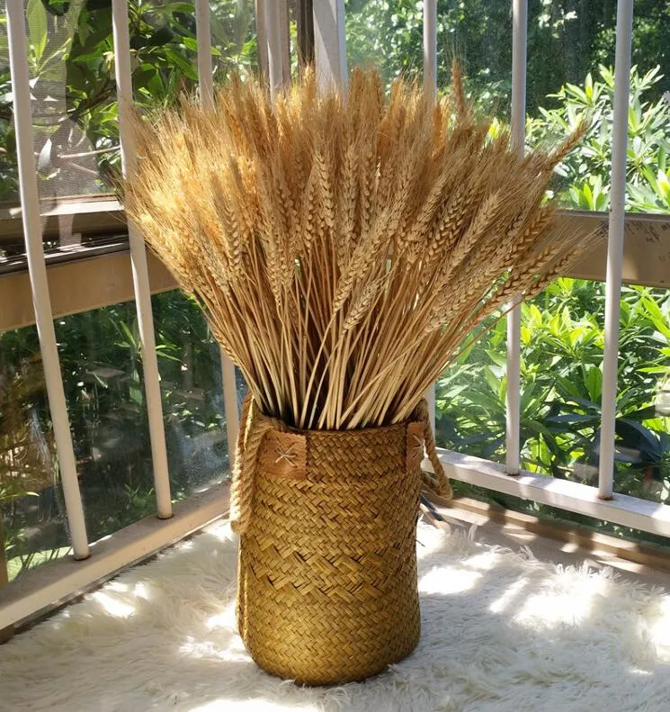 Artificial Wheat Ears Dried Flowers Set 300 Natural Stalks With Large ...
