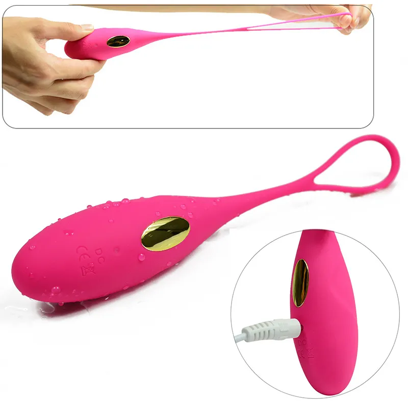 Love Egg Vibrator Wireless Remote Powerful 10 Mode Vibrations Remote