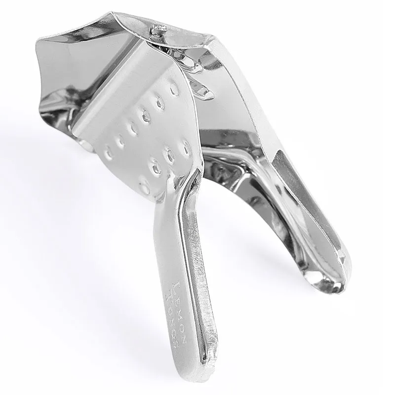 Mini Stainless Steel Fruit Press: Versatile Kitchen Tool For Squeezing ...