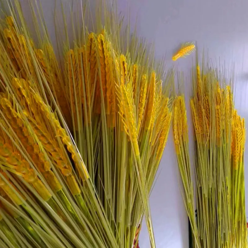 LED wheat lights for Outdoor Landscape Lighting, Holiday Park ...