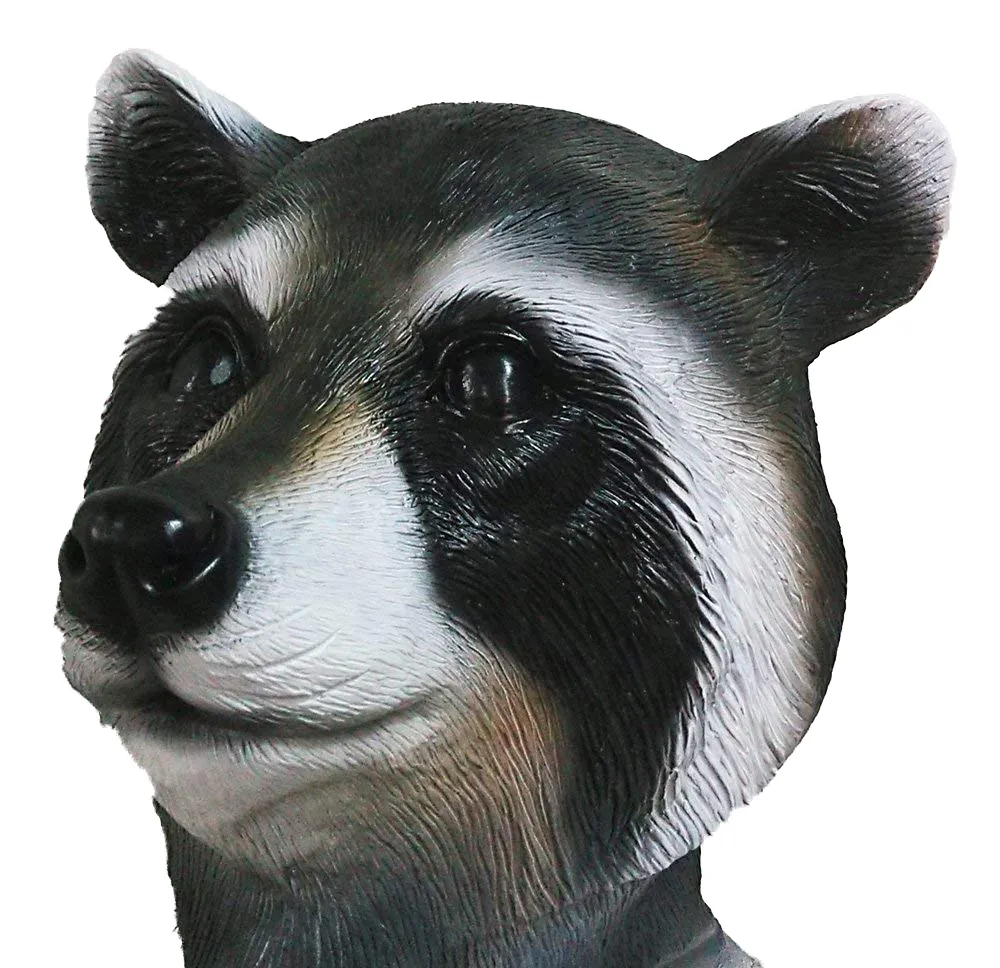 Maquillaje Animal Mapache