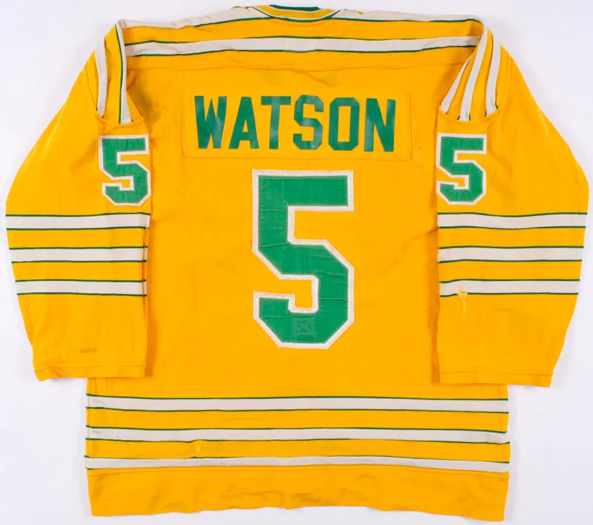 1974 WHA Vintage Chicago Cougars Hockey Jerseys 6 REGGIE FLEMING 12 PAT ...