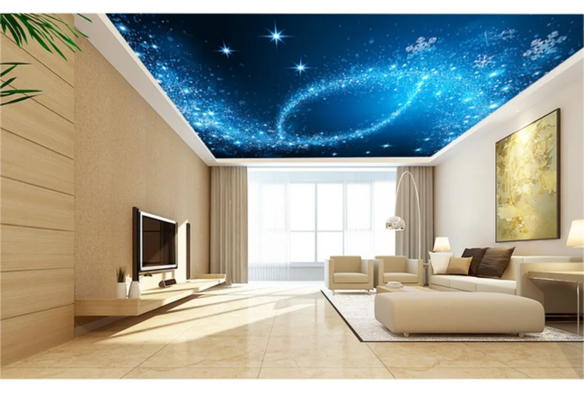 Starscape Ceiling Murals