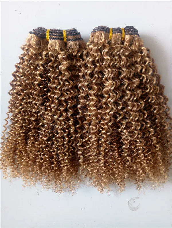 Brazilian Human Virgin Remy Hair Weft Kinky Curl Hair Extensions Light ...
