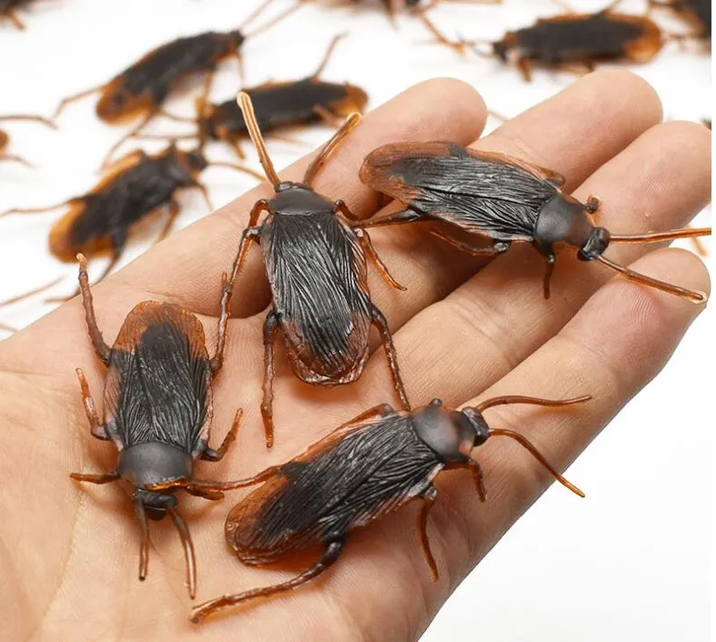 Fake cockroach store