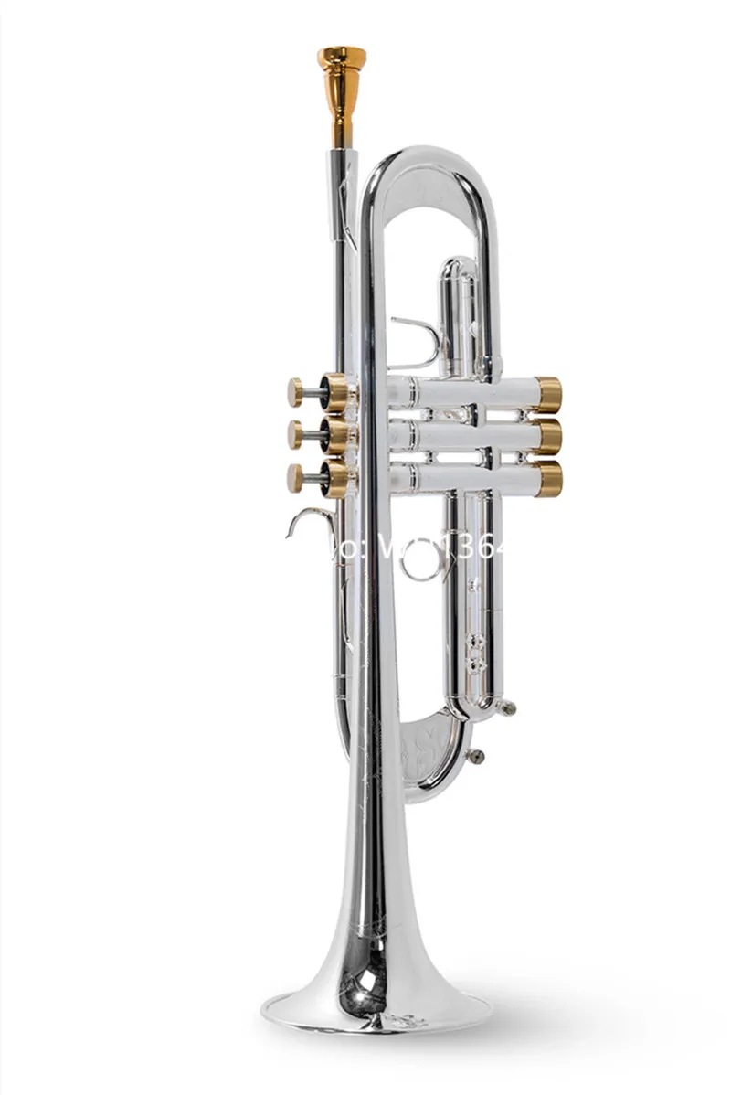 Professional Beautiful LT197GS 77 Silver Plated B... From Wu13642155505 ...