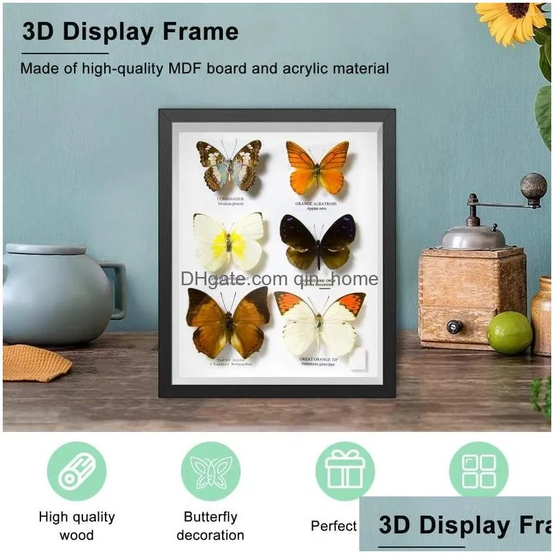 Wall Mounted Shadow Box Decorative Frames Elegant Rectangle Display ...