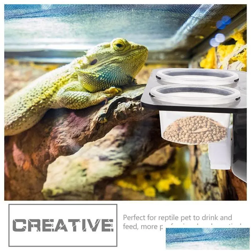 DHgate.com:Pet-Friendly Reptile Habitat Accessories: Durable Gecko Dish ...
