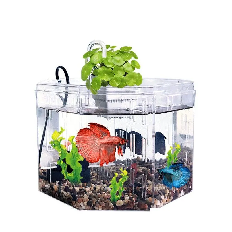 Desktop Acrylic Betta Starter Fish Tank Isolation Box Ornamental ...