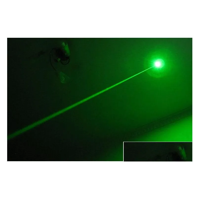 High Power Green 301 Green Laser Pointer Flashlight For Police And ...