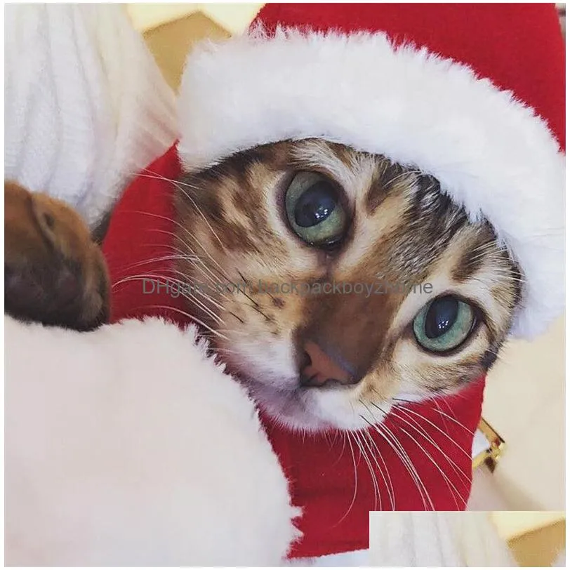 DHgate.com:Merry Christmas Pet Costume, Warm Santa Hat and Scarf Set ...