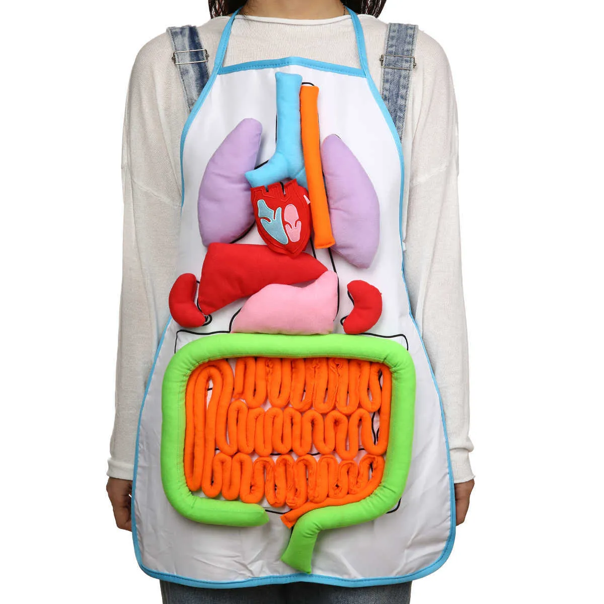 Anatomy Apron Human Body Organs Awareness Educational Insights Toys ...