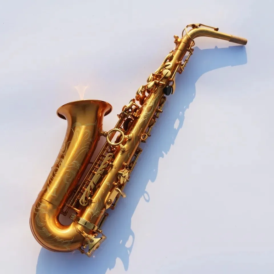 Premium Eb Alto Saxophone - Gold Plated, Abalone Keys, Professional ...