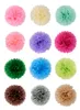 4 inch Tissue Paper Party Flower Ball Decoration Paper Pompoms for ...
