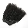 Burmese Virgin Remy Hair 3C 4A 4B 4C Natural Black 140g Afro Kinky ...