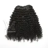 Burmese Virgin Remy Hair 3C 4A 4B 4C Natural Black 140g Afro Kinky ...