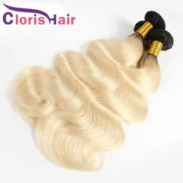 Dark Root Blonde Bundle (1b/#613)