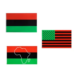 The Meaning and Significance of the African American Flag