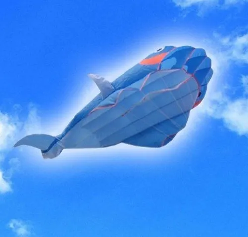 DHgate.com:2.1M Parafoil Whale Kite, Blue, 3D Huge Kite for Adults and ...