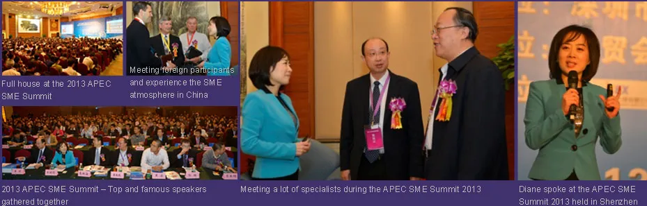 Diane Wang in APEC