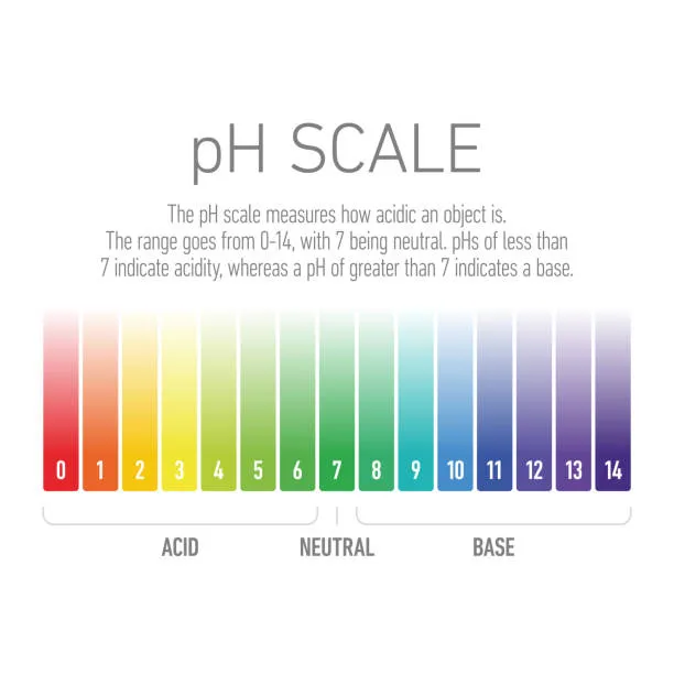 Everything You Need to Know About Skin pH