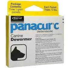Everything You Need to Know About Panacur for Dogs