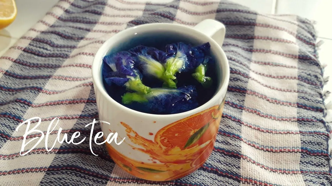 Discover the Benefits of Blue Tea A Guide to This Trending Beverage