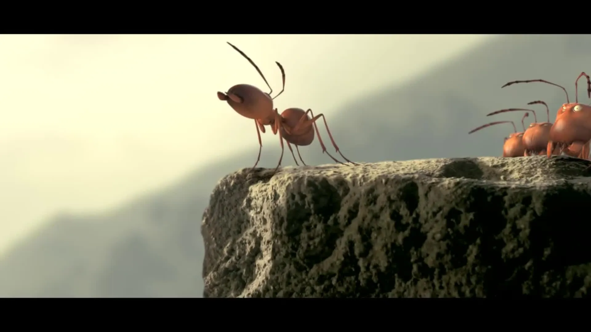 What Makes Ants Movie So Popular?