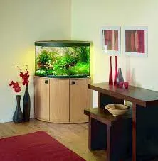Top 10 Corner Aquarium Designs for Your Home