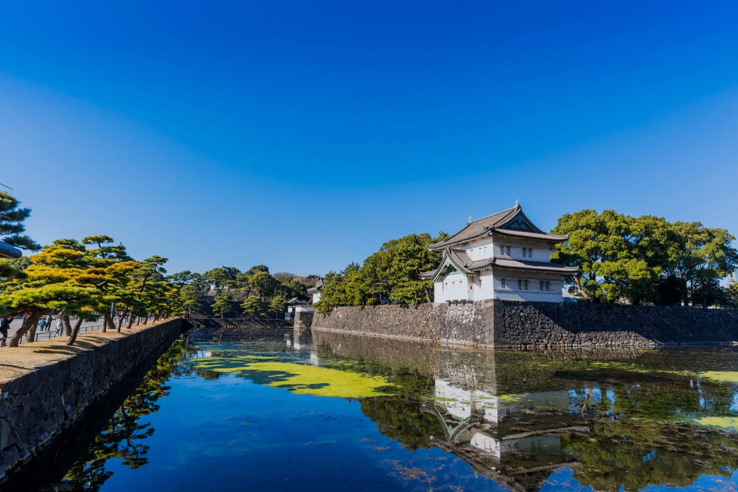 Shopping Guide Exploring the Best Stores around the Imperial Palace