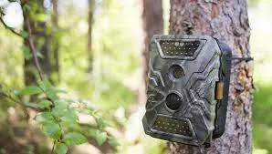 How to Choose the Best Trail Cam for Capturing Amazing Videos