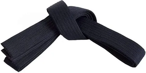 The Ultimate Guide to Taekwondo Belt Colors Meaning and Significance